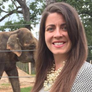Susan Altrui is new director of Little Rock Zoo | Little Rock Culture ...